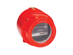 Triple IR3 EXD Conventional Flame Detector - Ampac